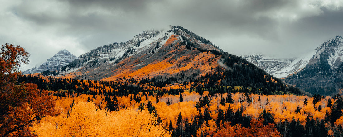 Contact Us – RIDGE Ramps